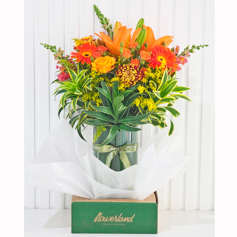 Vaso de Flores Paola (grande) – FlowerLand Flores